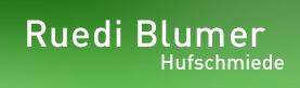 blumer | TV Buchs